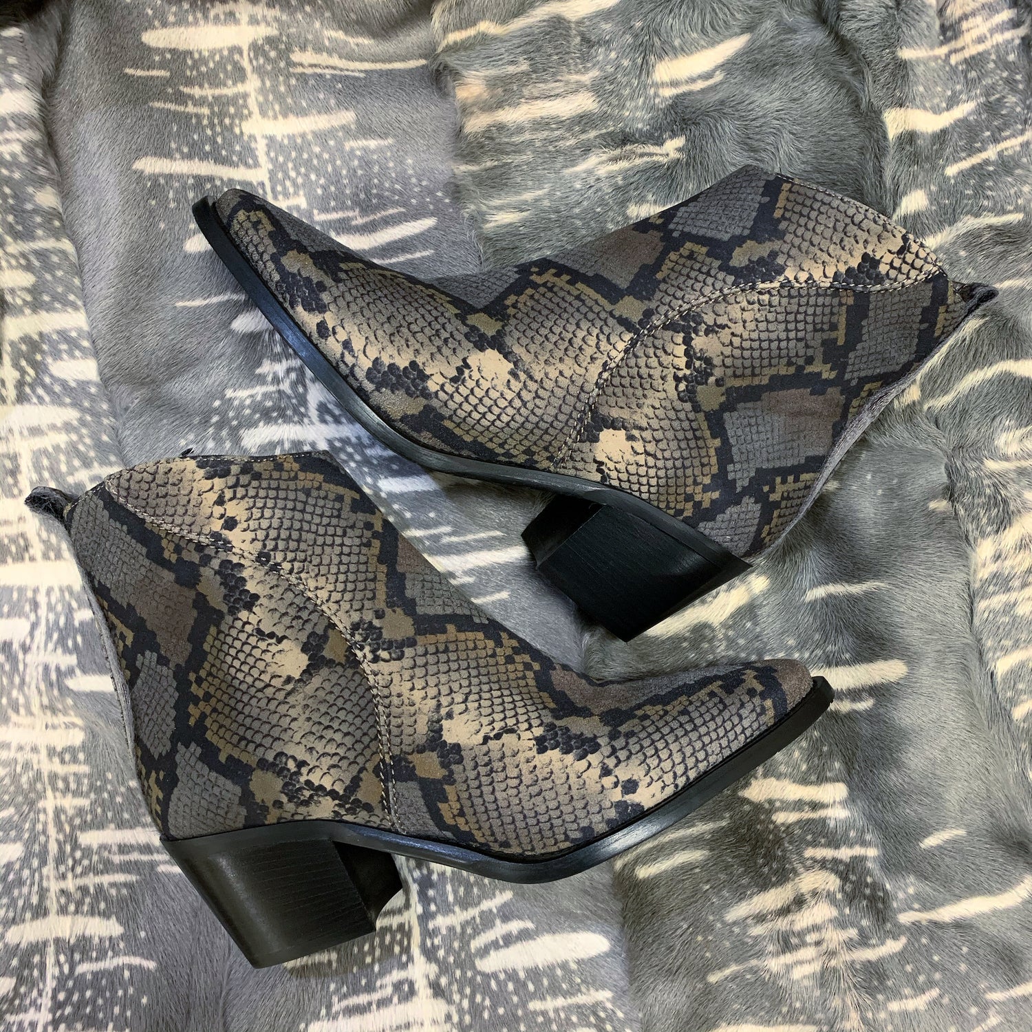 Donna Carolina - 100097 (Snake) | Shaw Shoes